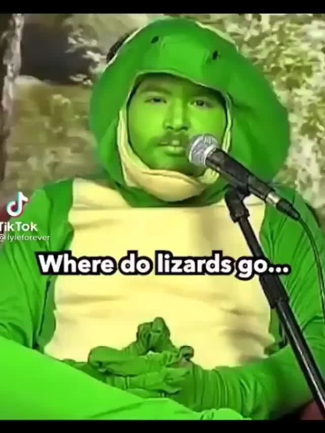 Where.do lizards go... - iFunny