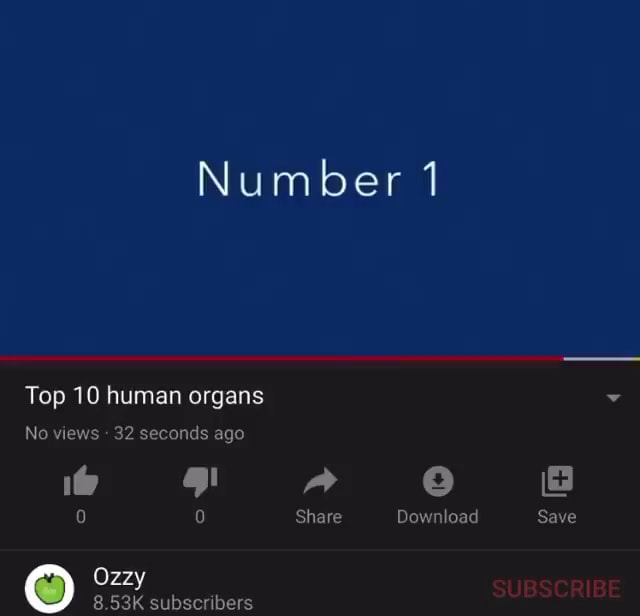 Number 1 Top 10 human organs No views 32 seconds ago \f a e Share ...