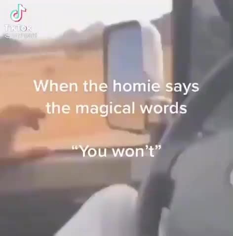 When the homie says the magical words "You won't" - iFunny