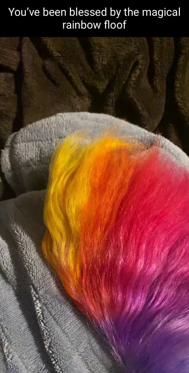 You've been blessed by the magical rainbow floof - iFunny