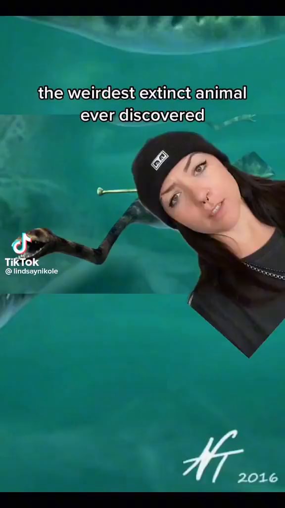 The weirdest extinct animal ever discovered Tik Tok - iFunny