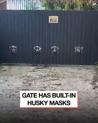 GATE HAS BUILT-IN HUSKY MASKS - iFunny