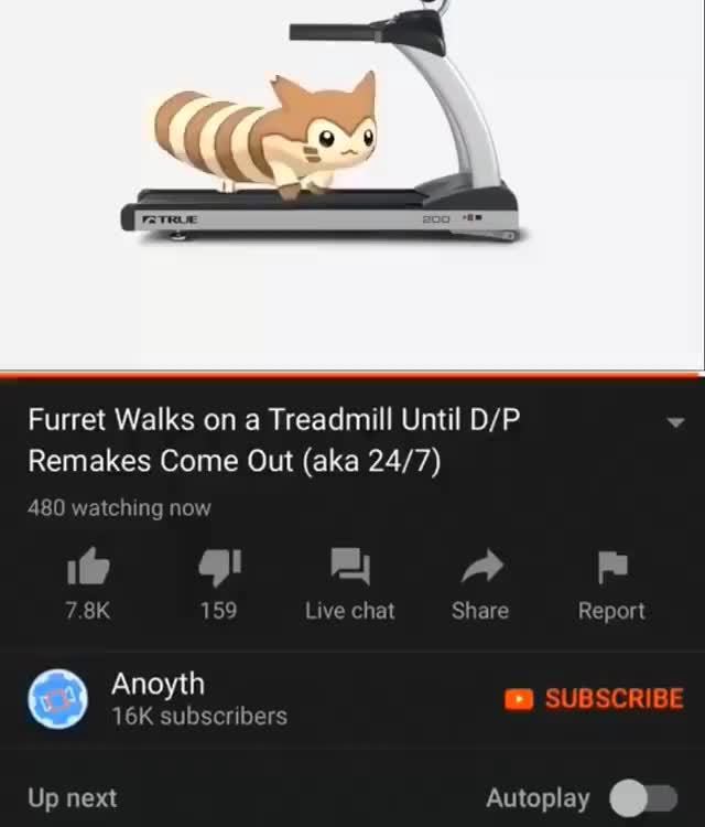 Furret Walks on a Treadmill Until D/P Remakes Come Out (aka 24/7) - iFunny