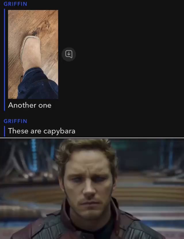 GRIFFIN Another one GRIFFIN I These are capybara - iFunny