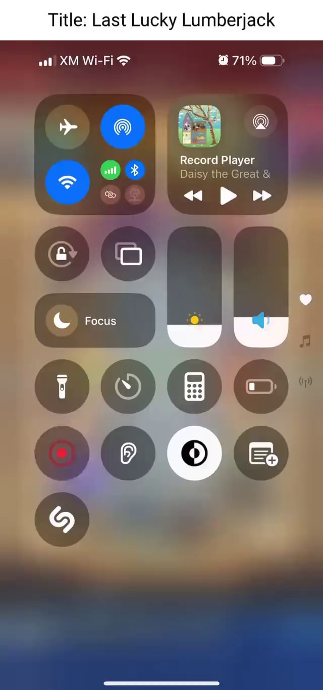 Title: Last Lucky Lumberjack XM Wi-Fi ii Record Player Daisy the Great & Focus Ww - iFunny