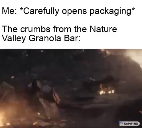Me: *Carefully opens packaging* The crumbs from the Nature Valley ...