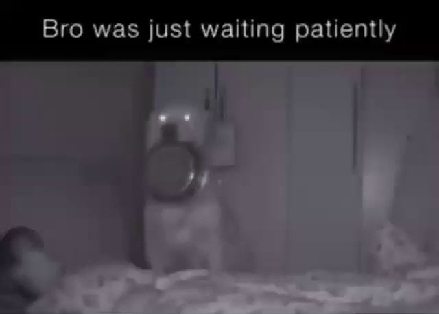 Bro was just waiting patiently - iFunny