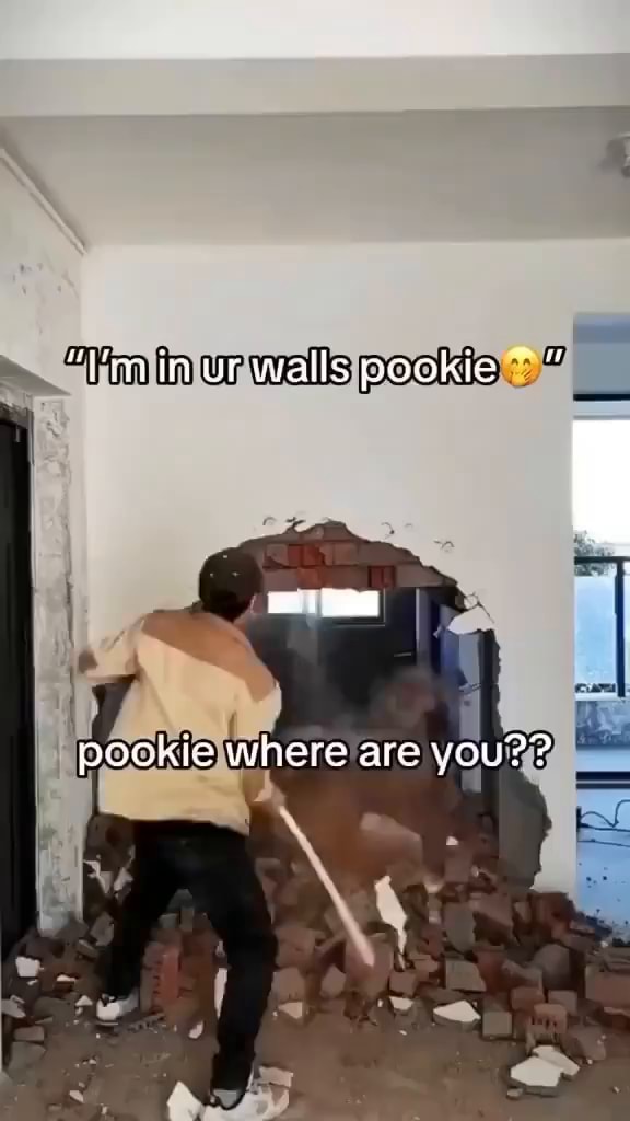 Ur walls pookie pockie where are you?? - iFunny