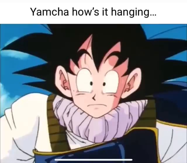 Yamcha how's it hanging... - iFunny