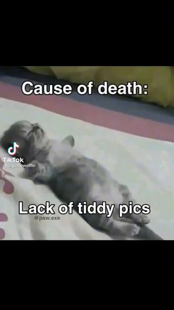 Cause of death: TikTok Lack of tiddy pics - iFunny