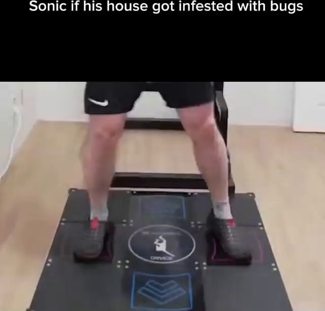 Sonic if his house got infested with bugs - iFunny