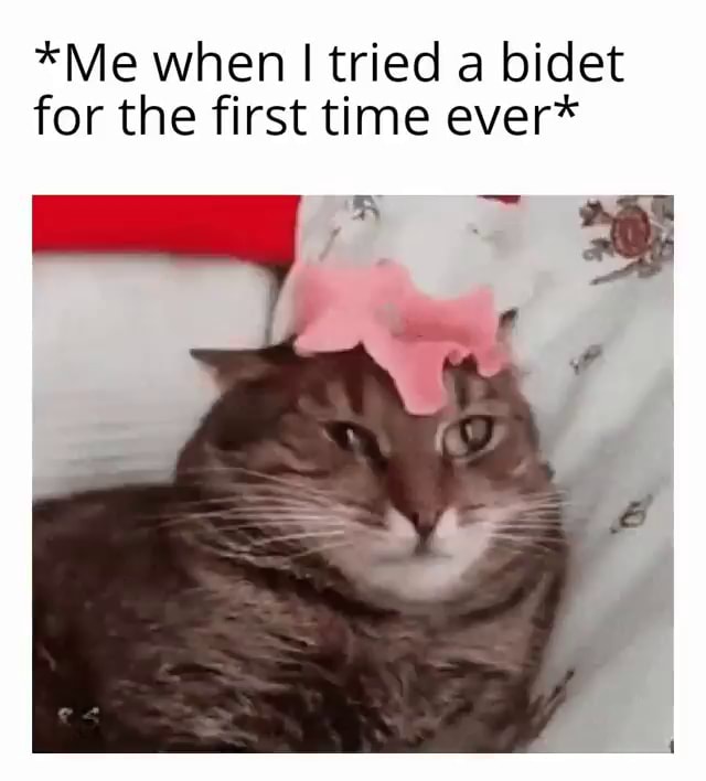 *Me when I tried a bidet for the first time ever* - iFunny