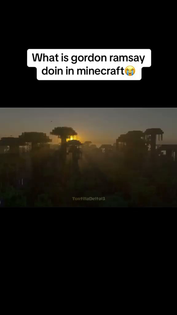 What is gordon ramsay doin in minecraft - iFunny