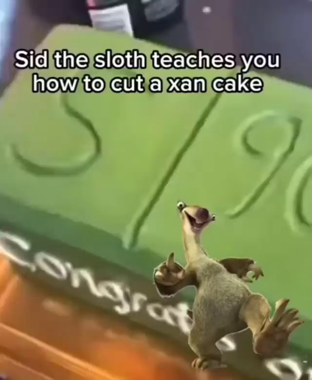 Sid the sloth teaches you how te cut a xan cake - iFunny