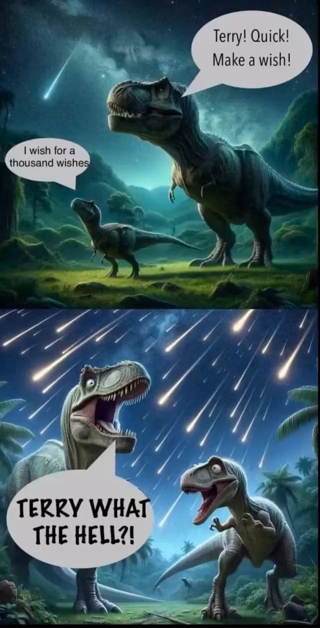 Terry! Quick! Make a wish! wish for thousand wishe: TERRY WHAT THE HELL ...