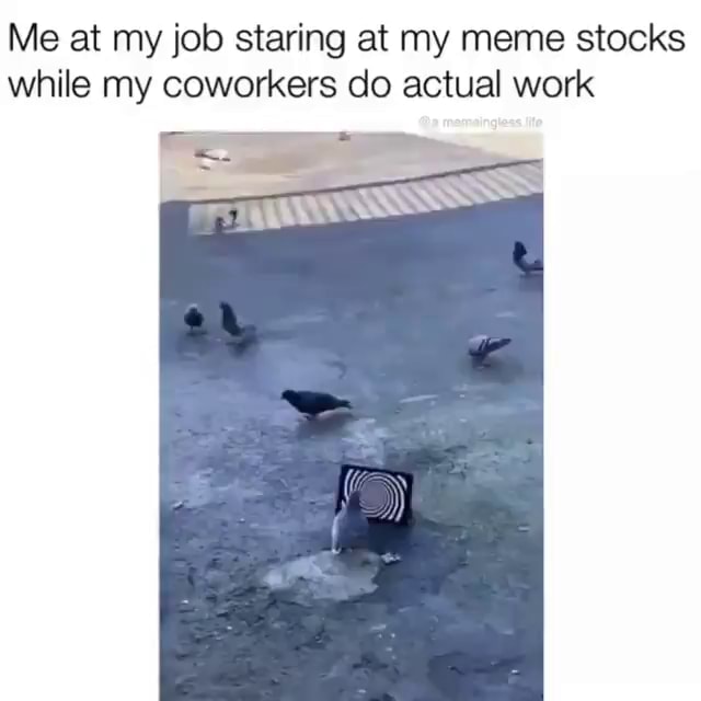 #memes #stonks #gme #holdtheline - Me at my job staring at my meme ...