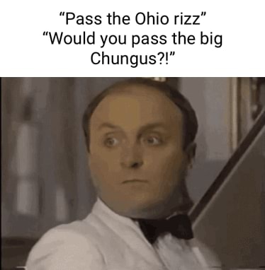 "Pass the Ohio rizz" "Would you pass the big Chungus?!" - iFunny