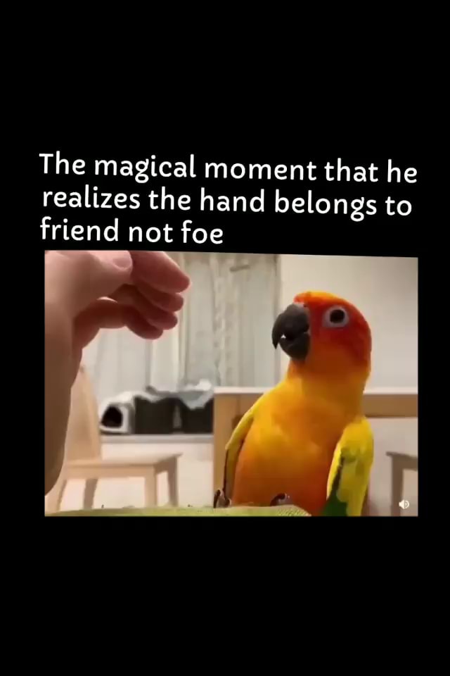 The magical moment that he realizes the hand belongs to friend not foe ...