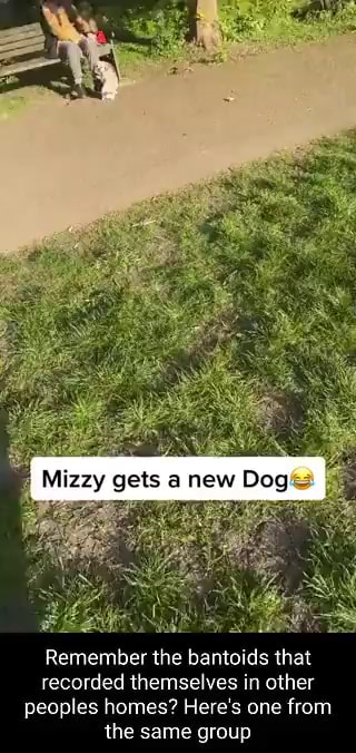 Mizzy gets new Dog Remember the bantoids that recorded themselves in ...