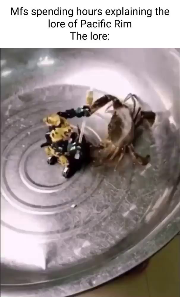 Mfs spending hours explaining the lore of Pacific Rim The lore: I - iFunny