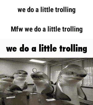 We do a little trolling - we do a little trolling Mfw we do a little ...
