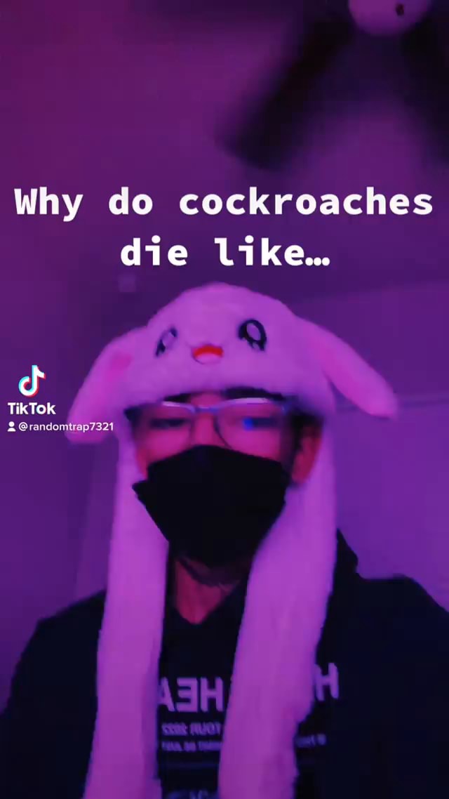 Why do cockroaches die like... TikTok @randomtrap7321 - iFunny