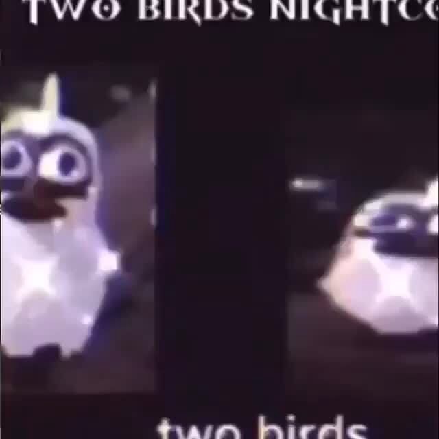 TW BIRDS UN TU - iFunny