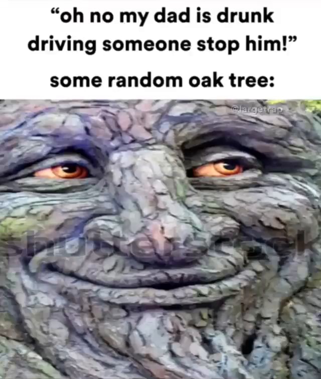 "oh no my dad is drunk driving someone stop him!" some random oak tree ...