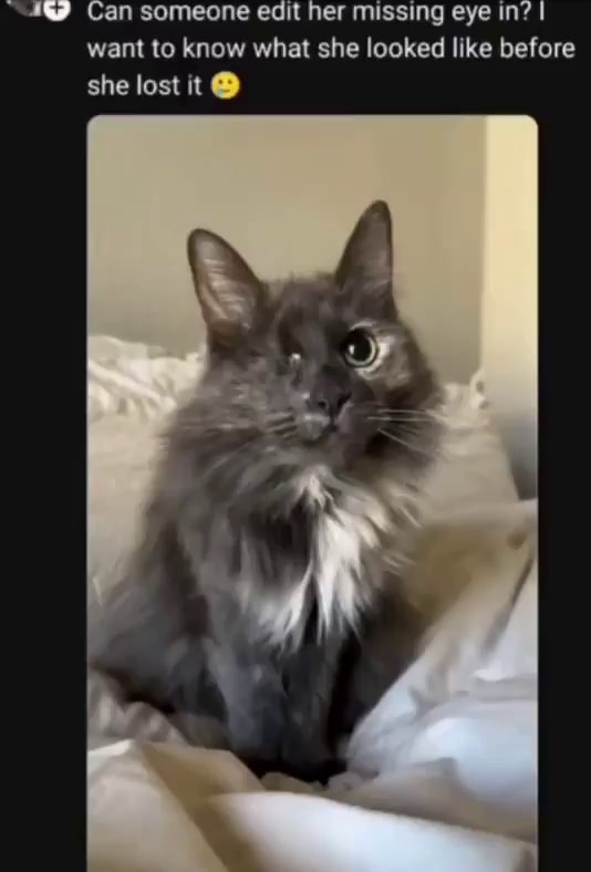 Can someone edit her missing eye in? I want to know what she looked ...