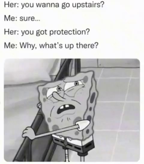 Her: you wanna go upstairs? Me: sure... Her: you got protection? Me ...