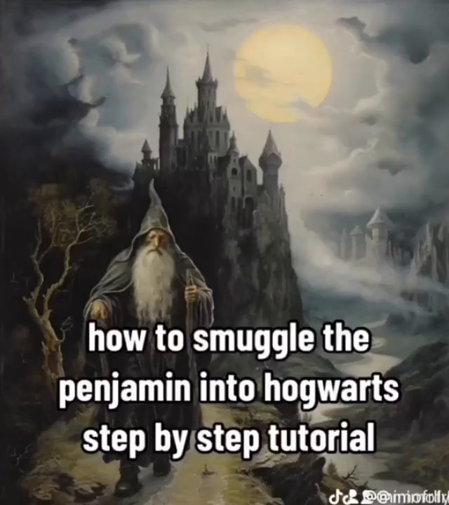 How to smuggle the penjamin into hogwarts step by step tutorial - iFunny