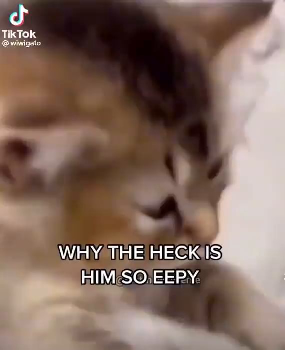 TikTok WHY THE HECK IS HIM SO EEPY - iFunny