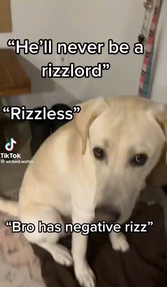 "He'll never be a rizzlord" "Rizzless" "Bro has negative rizz" - iFunny