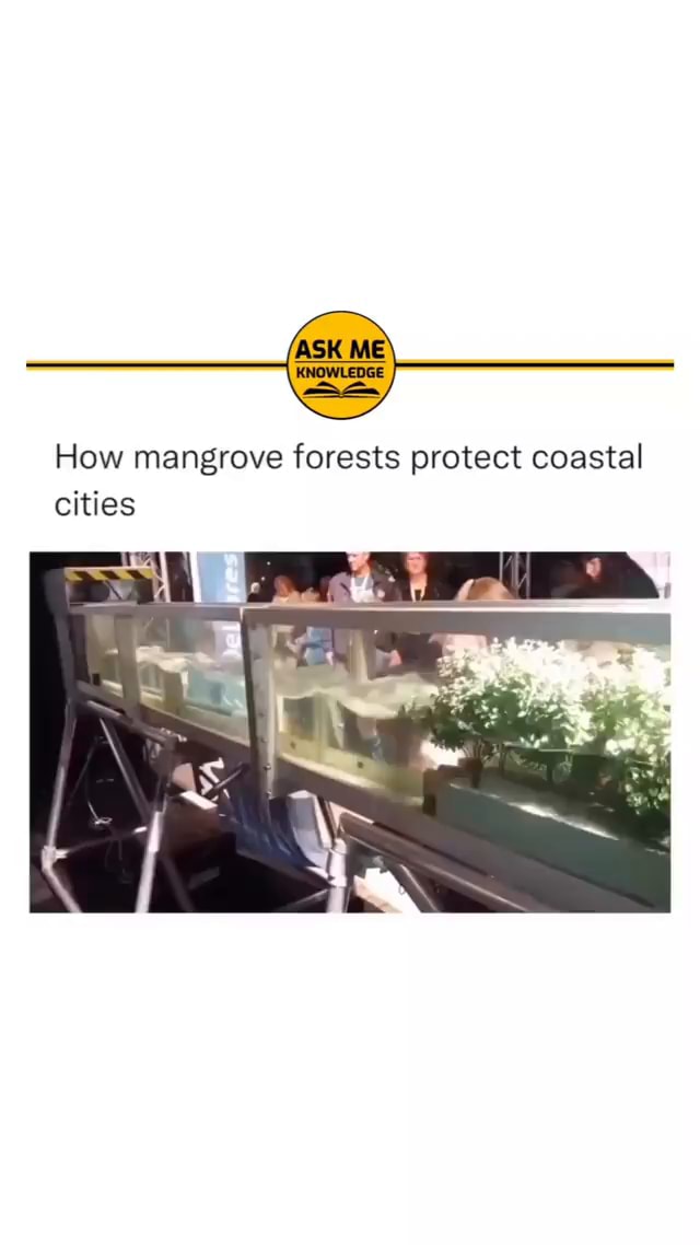 Coastal ecosystems such as reefs and mangroves are crucial in reducing the damages caused by ...