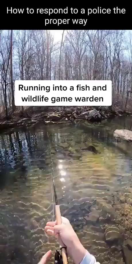 How to respond to a police the proper way Running into a fish and ...