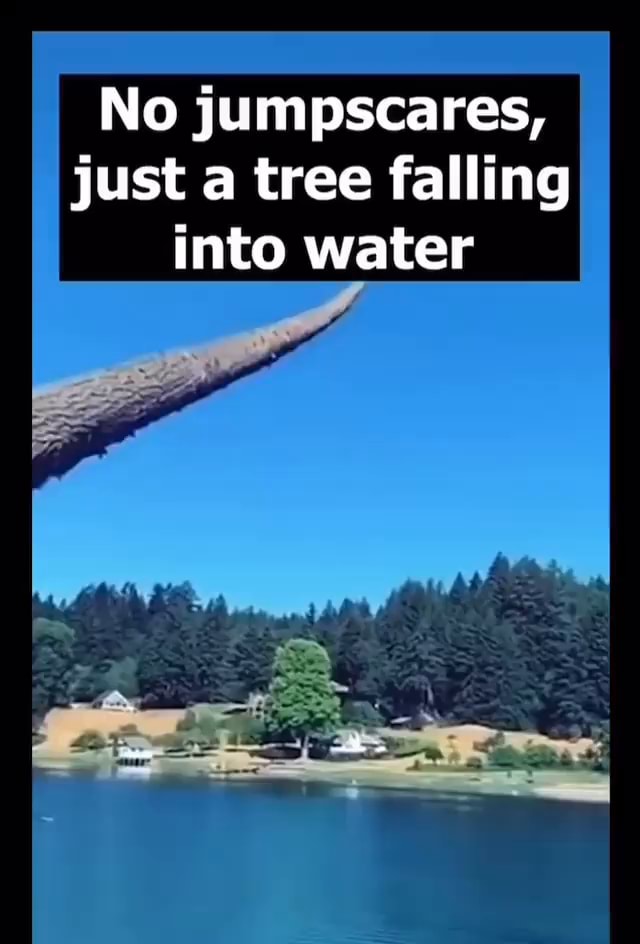 No jumpscares, just a tree falling into water - iFunny