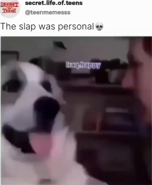 Secret.life.of.teens @teenmemesss The slap was personal - iFunny