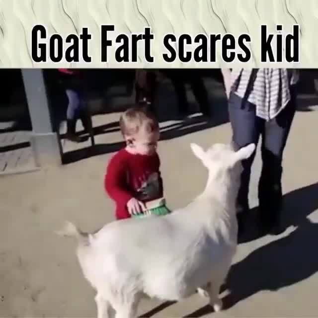 Goat Fart scares kid - iFunny