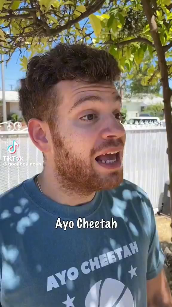 TikTOK gooulboy .noah Ayo Cheetah - iFunny