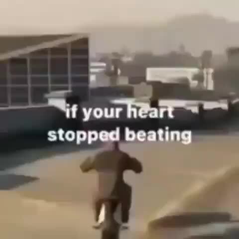 - your stopped beating - iFunny