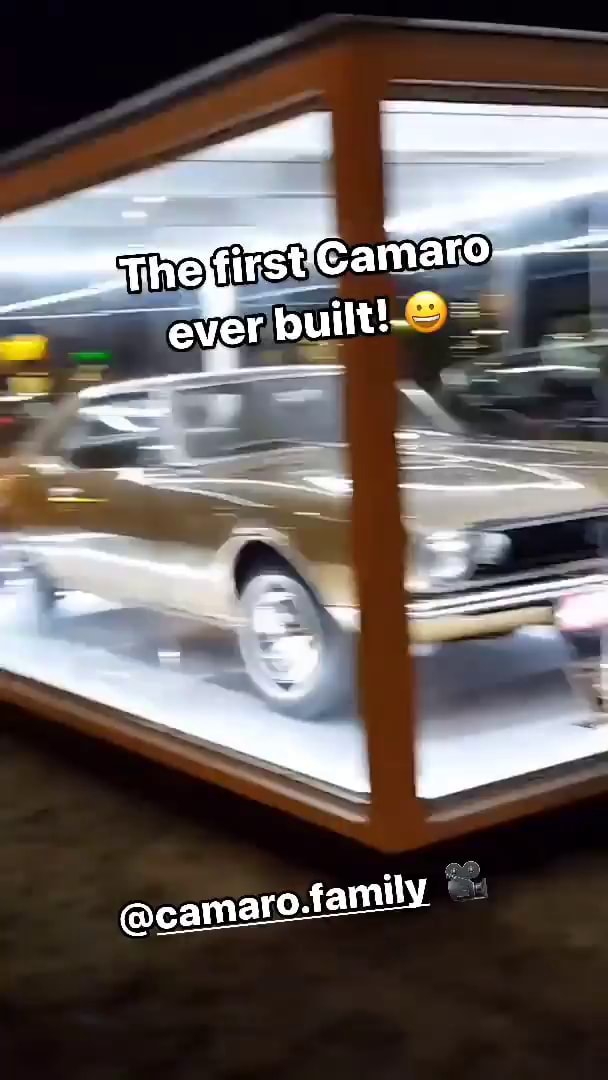 Video memes 7nBu5YrSB by THE_PSYCHO_WOLF_: 60 comments - iFunny