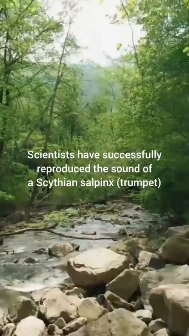 Scientists have successfully reproduced the sound of a Scythian salpinx ...
