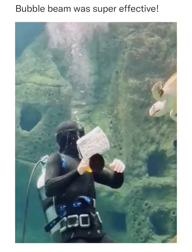 Bubble beam was super effective! - iFunny
