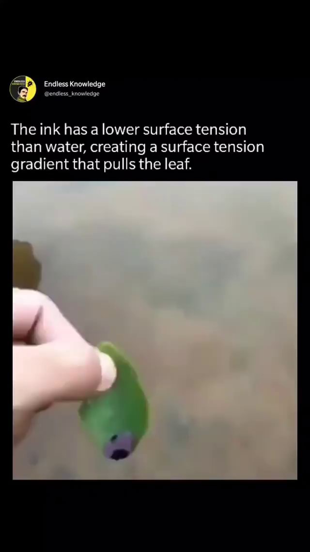 The ink has a lower surface tension han water, creating a surface ...
