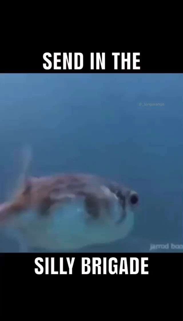 SEND IN THE SILLY BRIGADE - iFunny