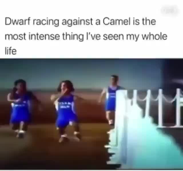 Dwarf racing against a Camel is the most intense thing I've seen my ...