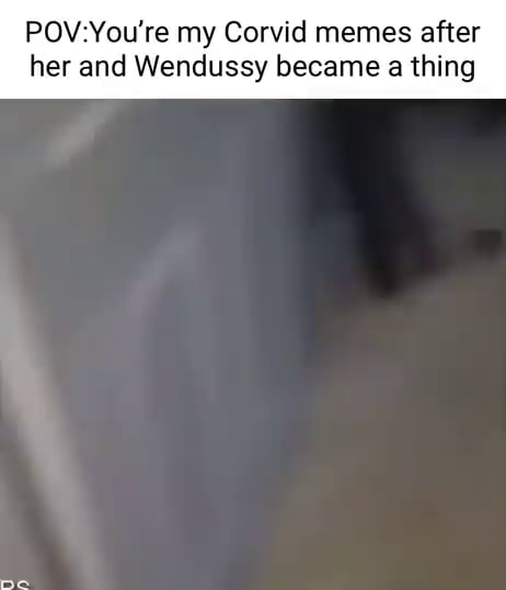 POV-You're my Corvid memes after her and Wendussy became a thing - iFunny