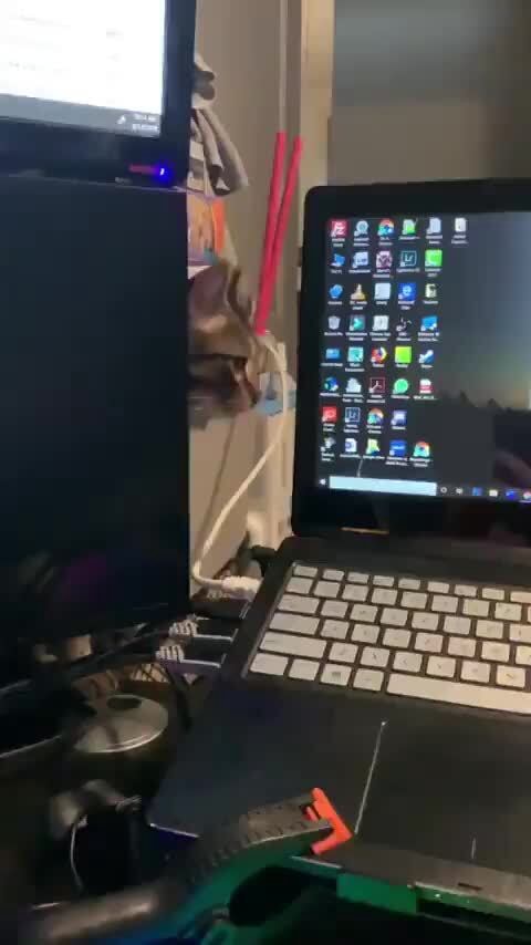 Edit: Temple of Doom (cat) was not hurt, or fazed! I promise you will ...