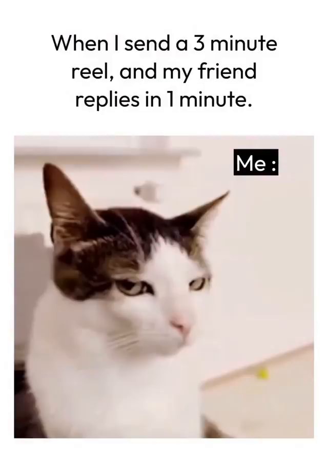 When I send minute reel, and my friend replies in 1 minute. Me: - iFunny