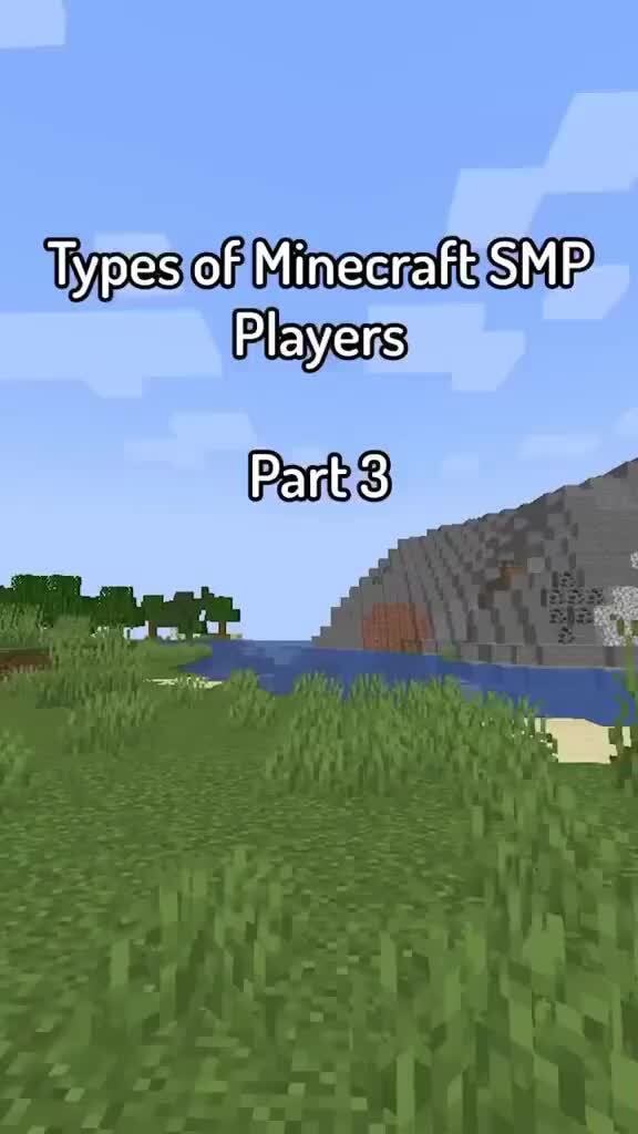 Types of Minecraft SMP Players Part 3 - iFunny